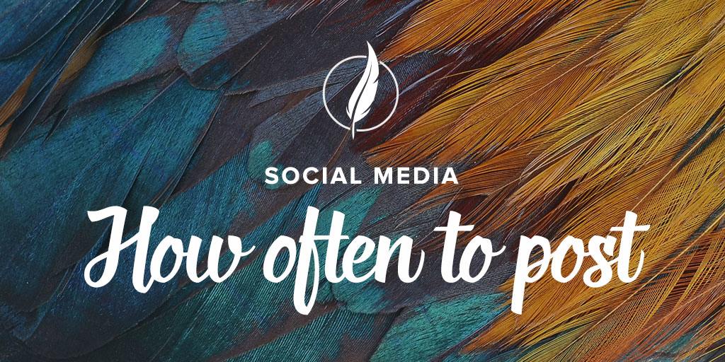 How Often Should I Post on Social Media | Forge and Smith